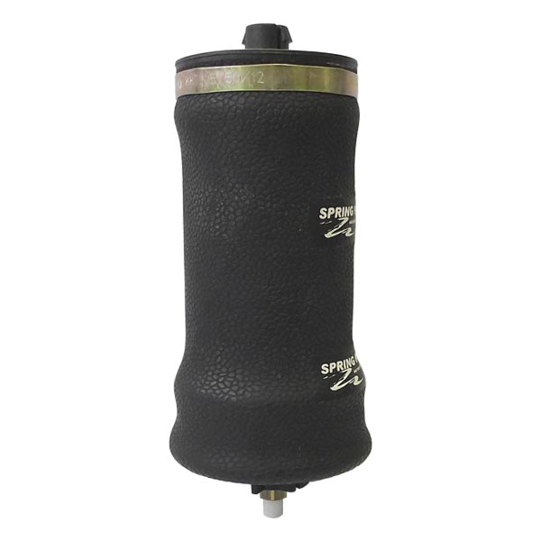 Pro Trucking Products: Cab Air Spring for Freightliner, Western Star